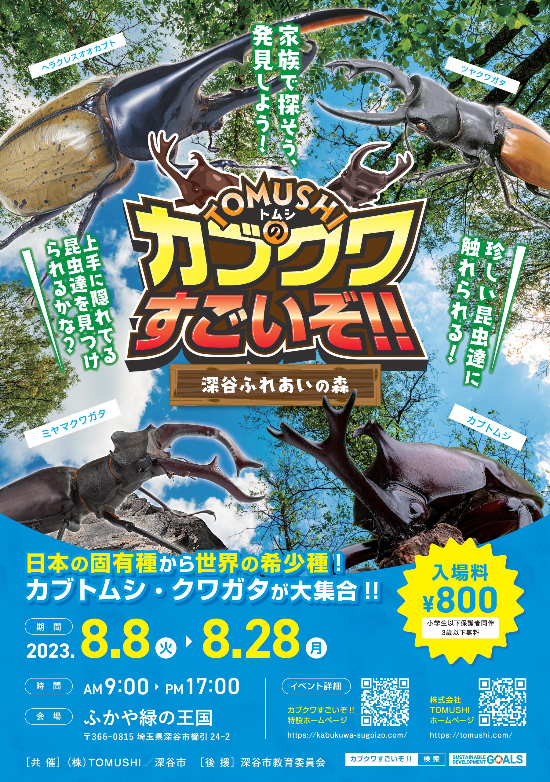 TOMUSHIのカブクワすごいぞ‼深谷ふれあいの森 | 深谷テラスパーク - 深谷とみんなをつなぐ場所。